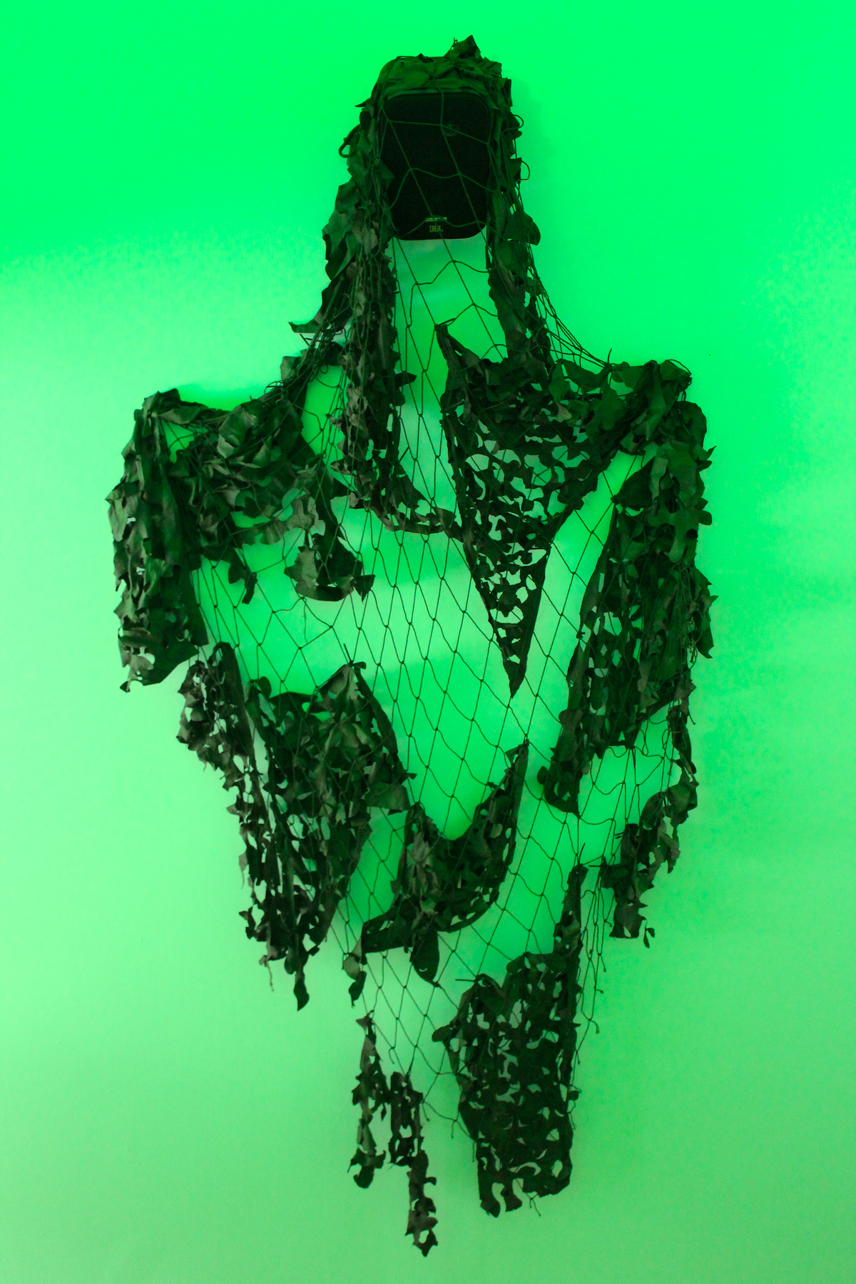 I, The Thing in the Margins - The Learned Pig