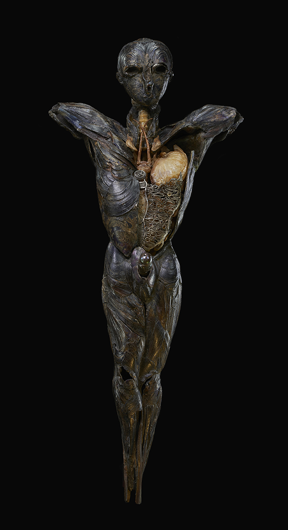 Gillian Genser ...Remains - The Learned Pig