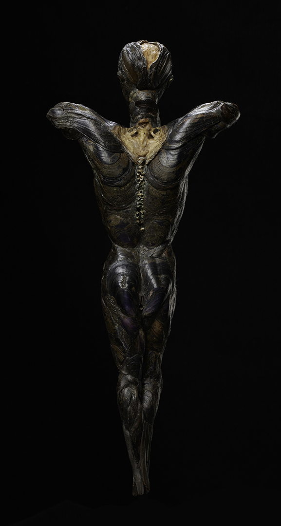 Gillian Genser ...Remains - The Learned Pig