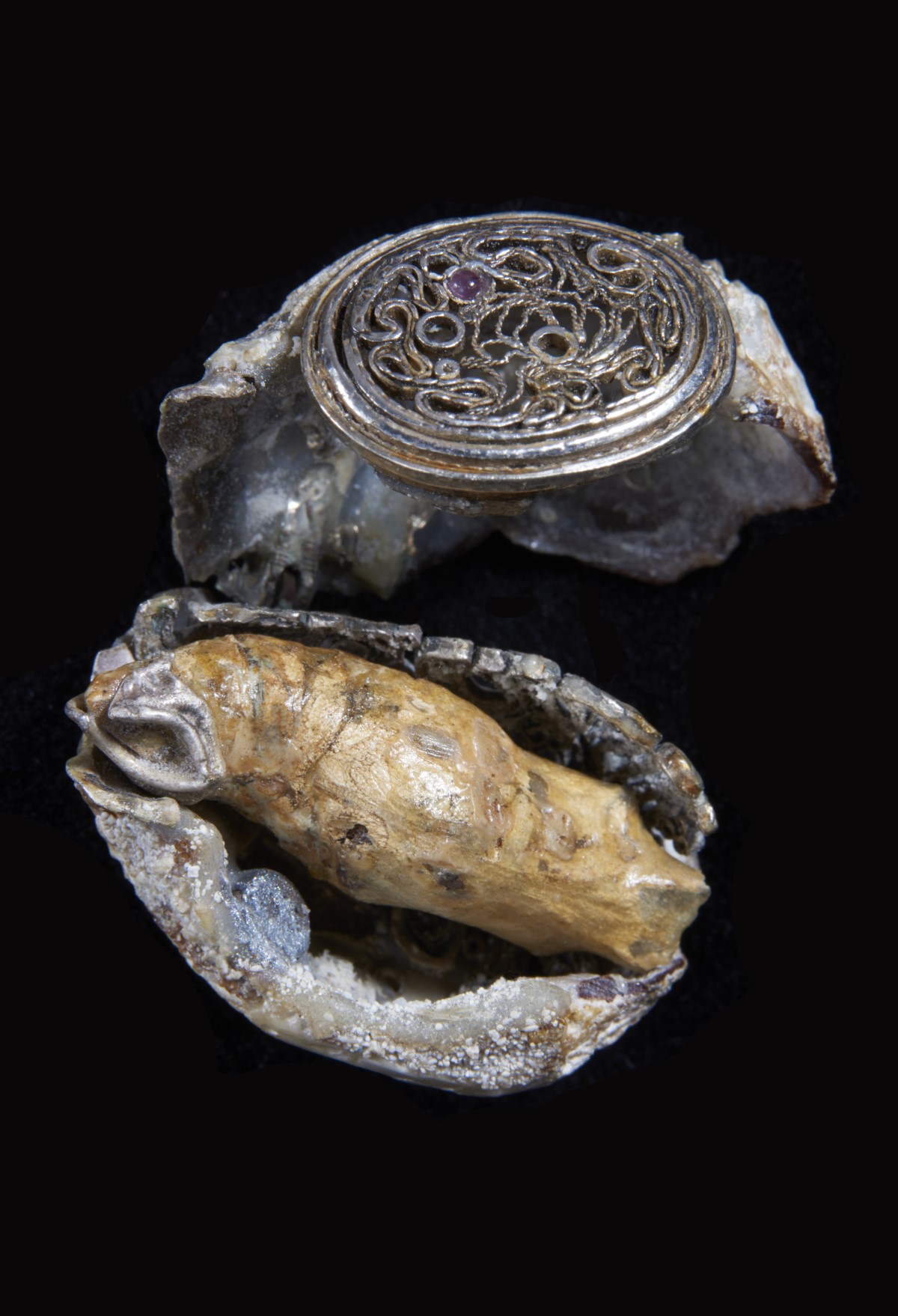 Gillian Genser ...Remains - The Learned Pig